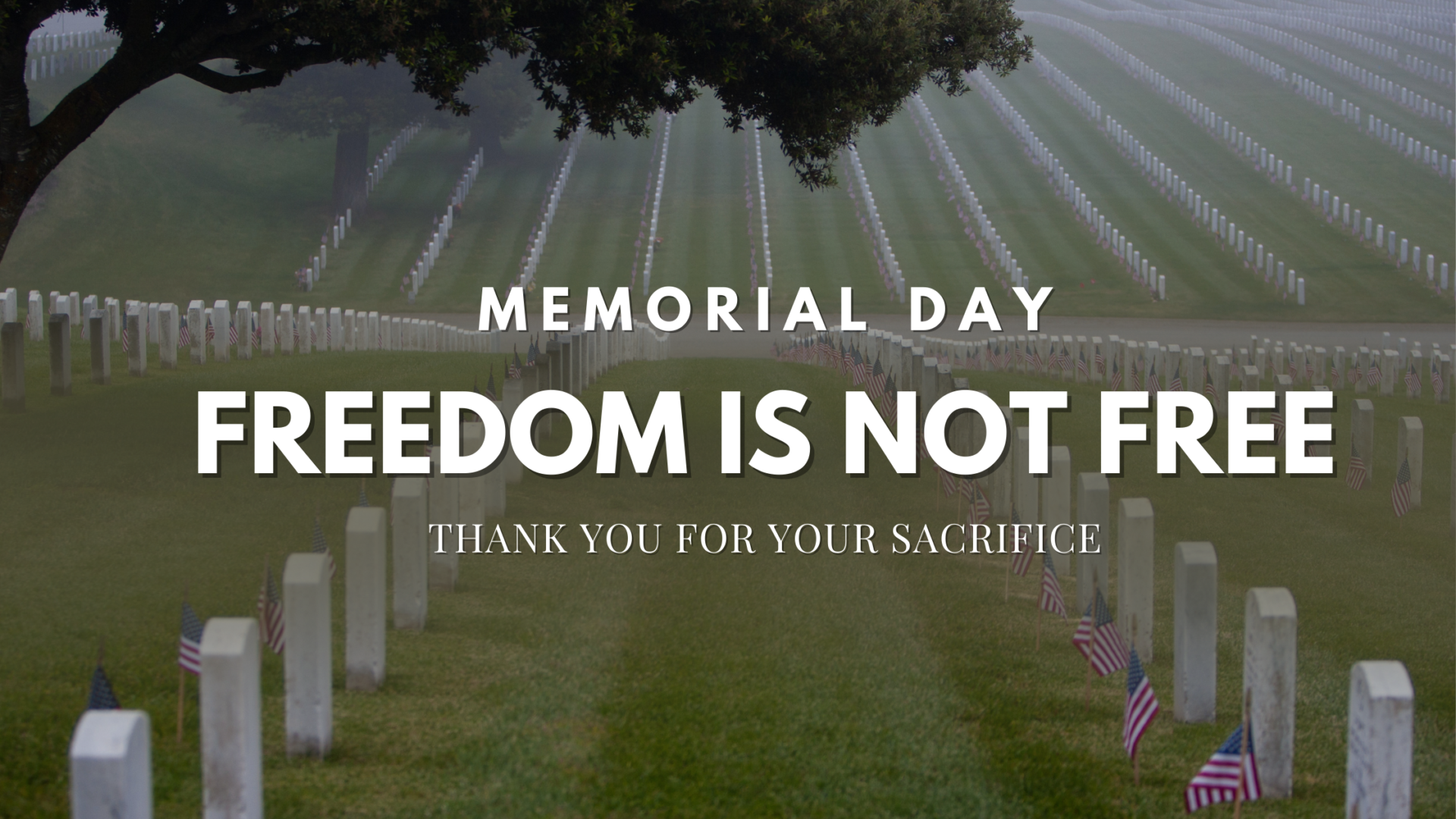 Why The Sacrifices For Our Freedom Need To Be Kept In The Forefront Of ...